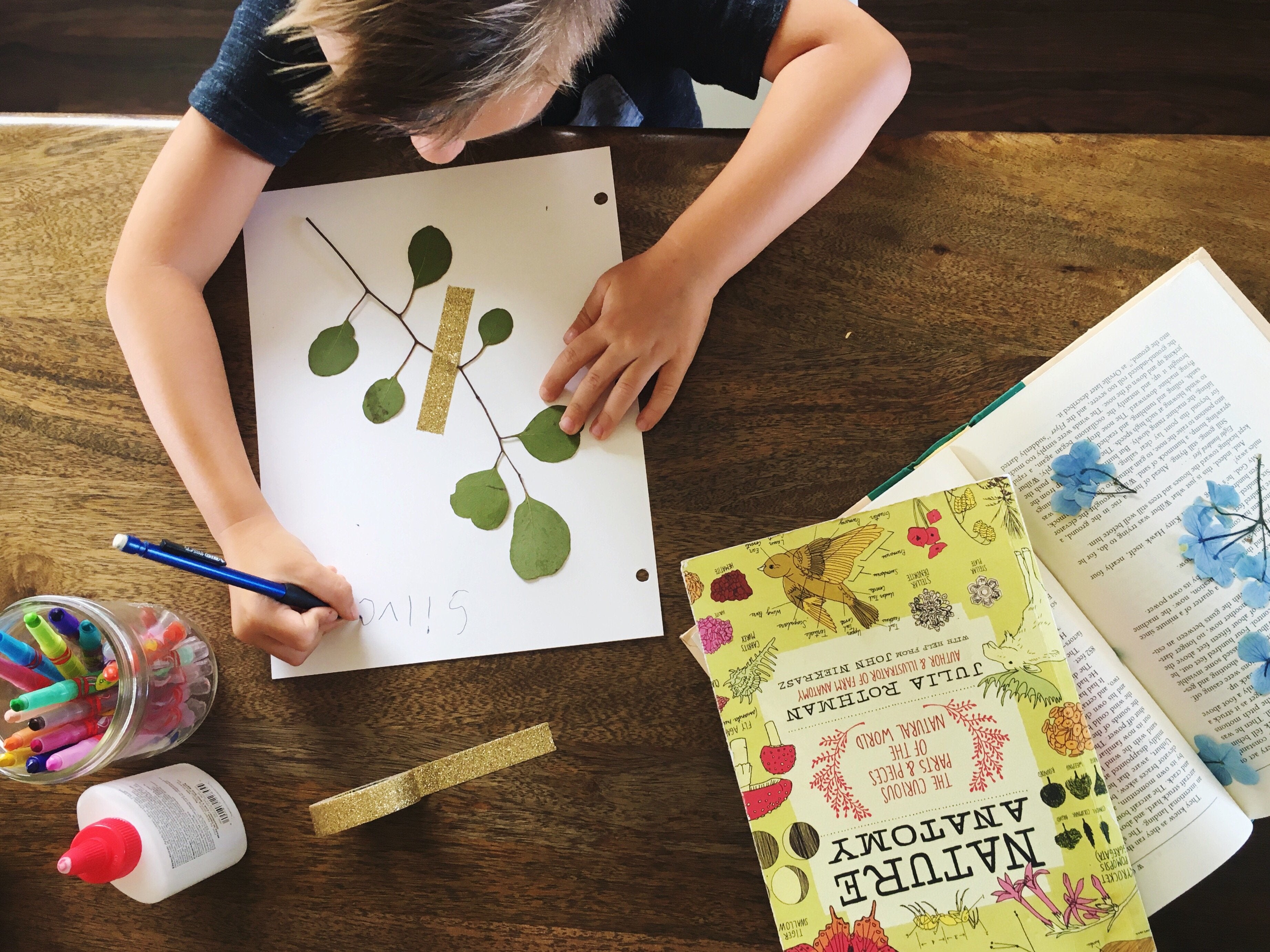 Homeschooling 101: Coronavirus Edition | Delta Children